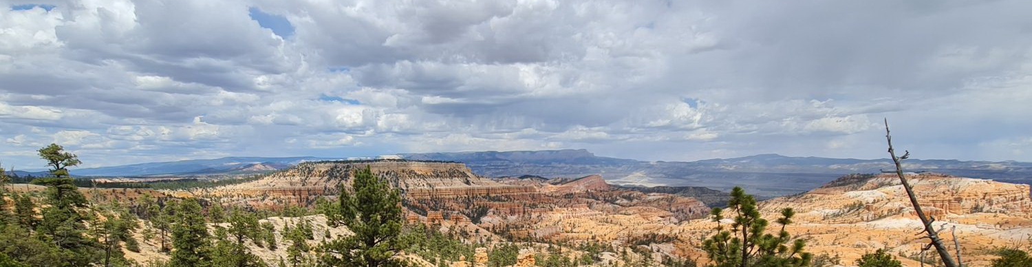 2020 – Famille Morlon